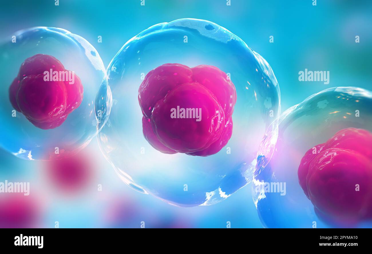 Human cells under a microscope. Research of stem cells. Cellular ...