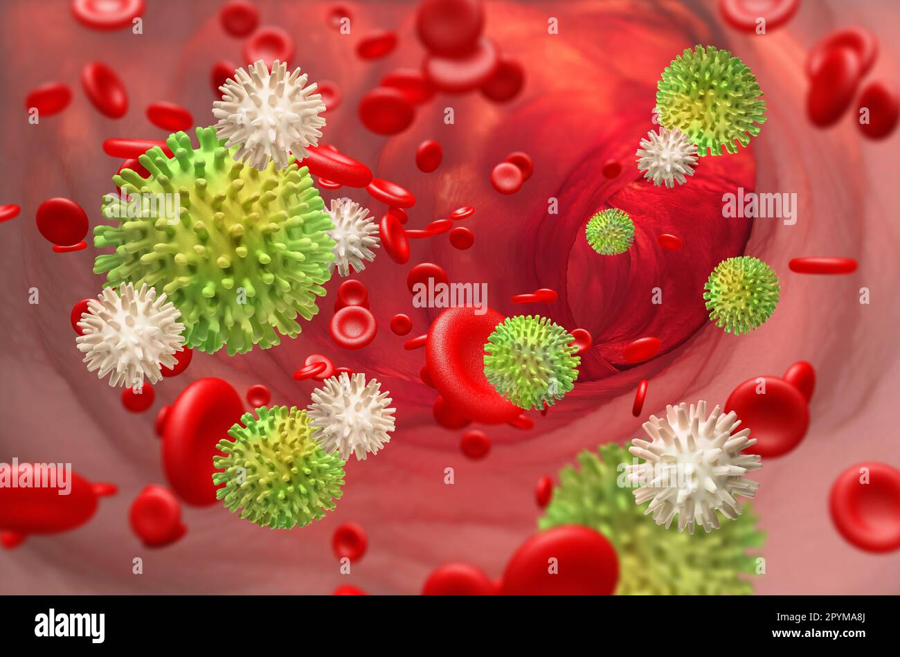 Leukocytes attack the viral infection in the blood. 3D illustration on ...