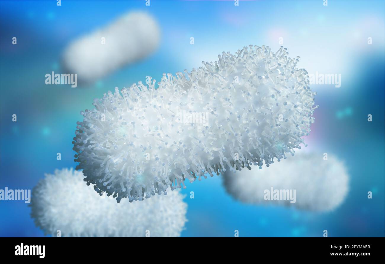 Microbes in the body. Immune protection against infection. Study of ...