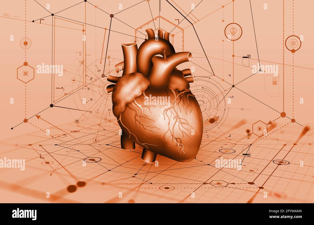 Digital model of human heart. Modern technologies in cardiology ...