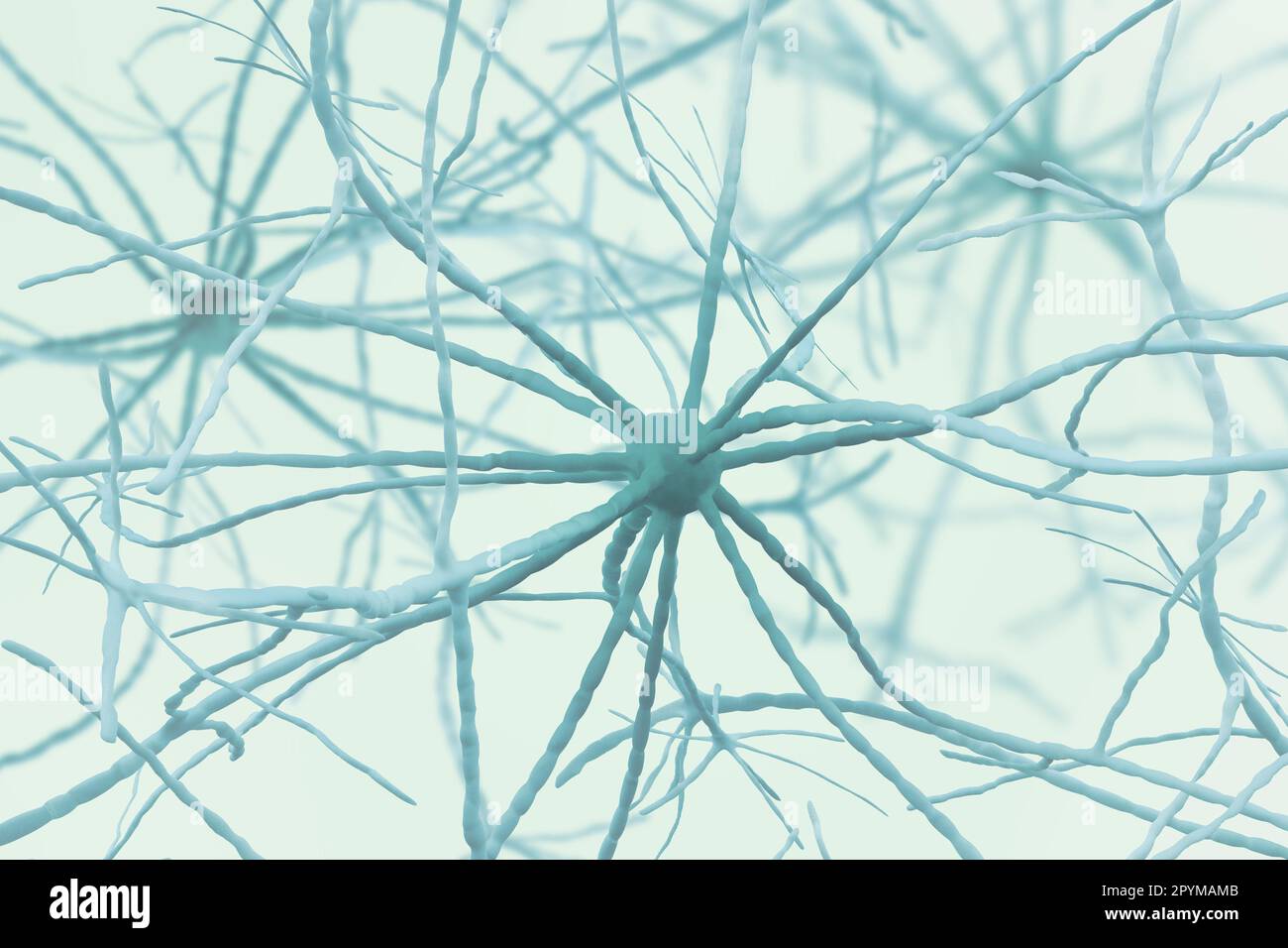 Human brain nervous system hi-res stock photography and images - Alamy