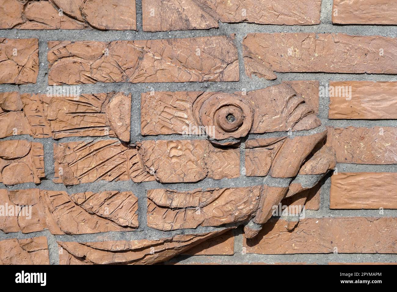 Fish relief on the wall outside the zoo in Berlin Stock Photo - Alamy