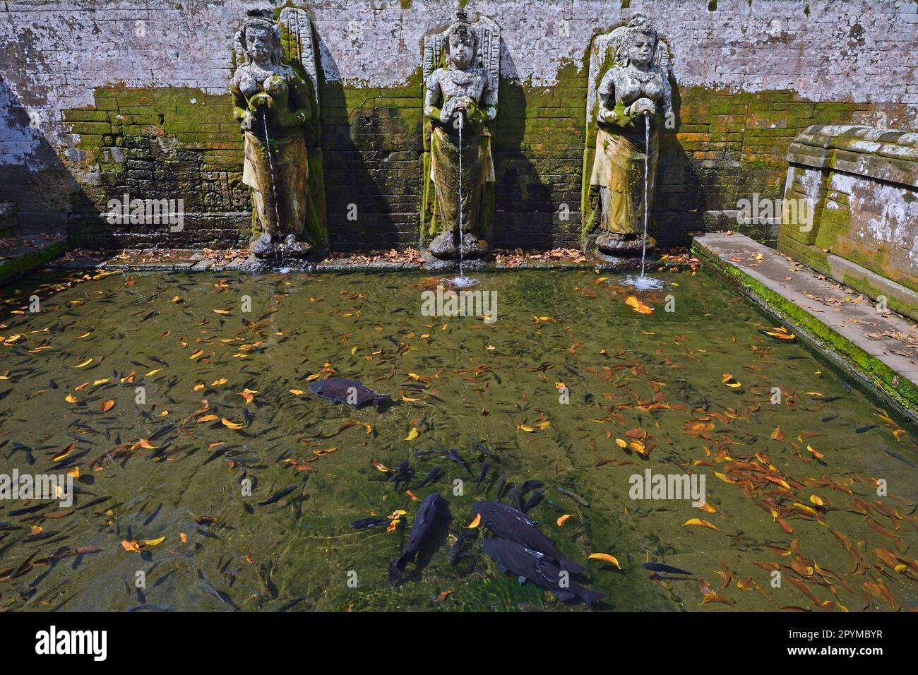 Water basin with gargoyles and fish, Elephant Temple Goa Gaja, Bali ...