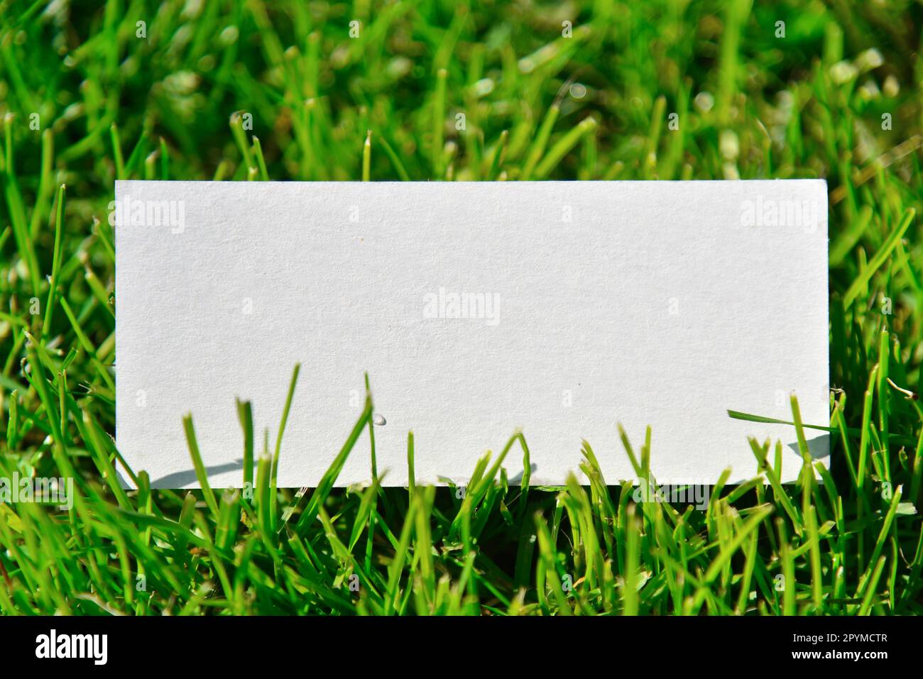 Empty poster in green grass. Mock up poster for advertisement copy ...