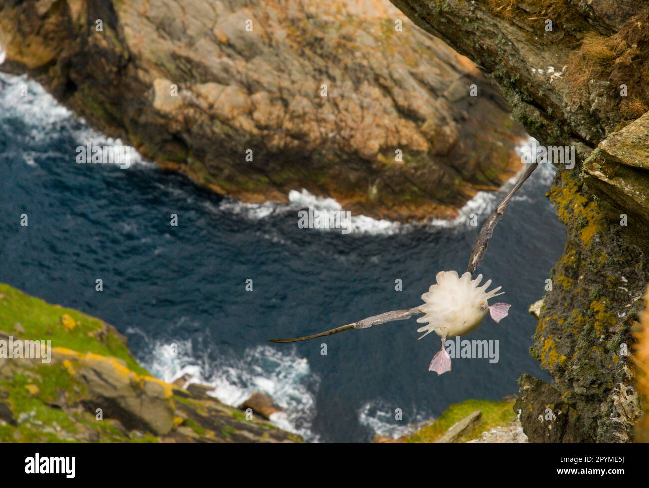 Precipitous cliff hi-res stock photography and images - Alamy