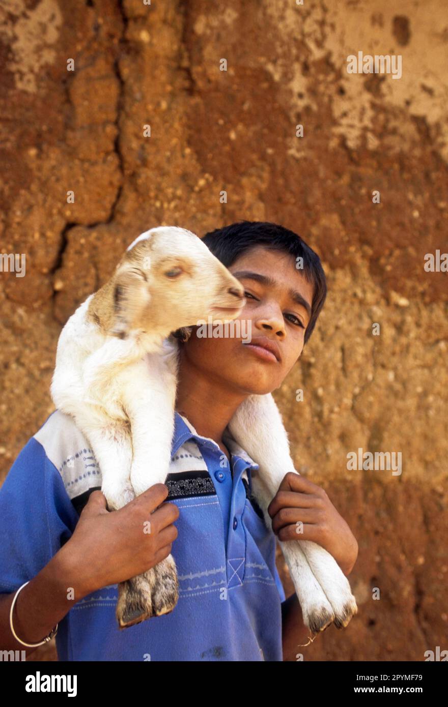 A boy with lamb, Karnataka, India Stock Photo - Alamy