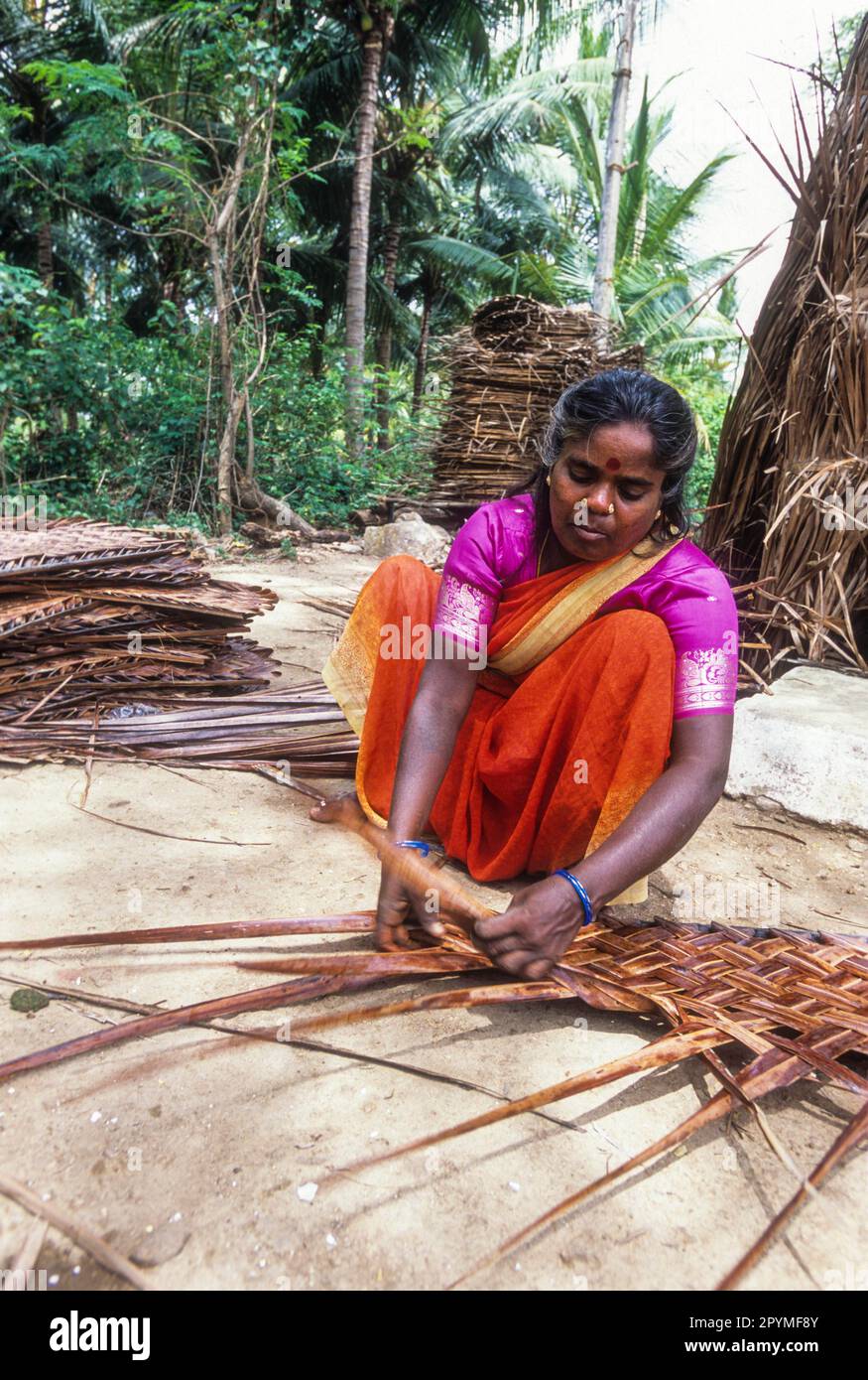 A woman braiding coconut leaves, Tamil Nadu, South India, India, Asia ...
