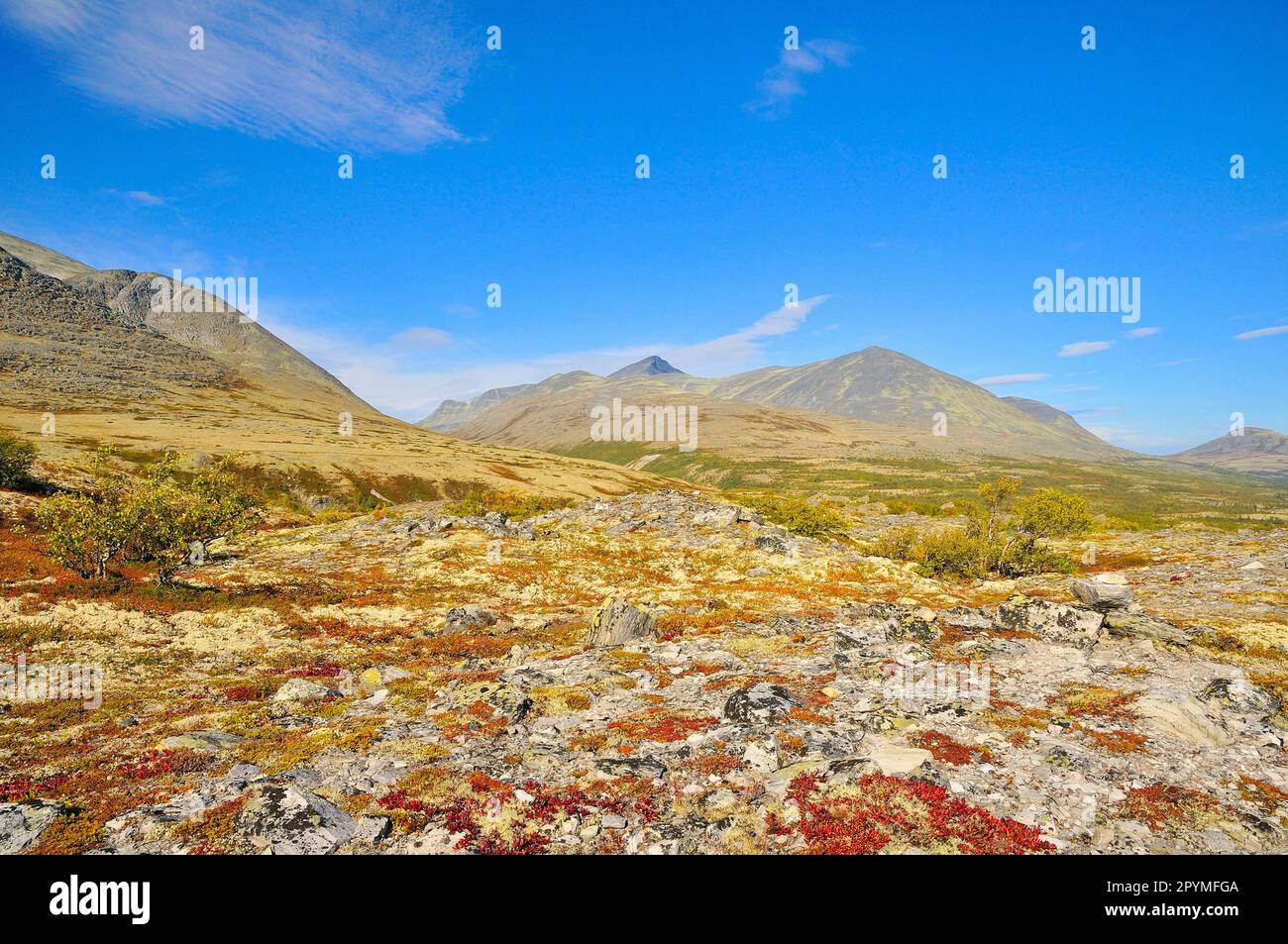 Rondane National Park, Norway Stock Photo - Alamy