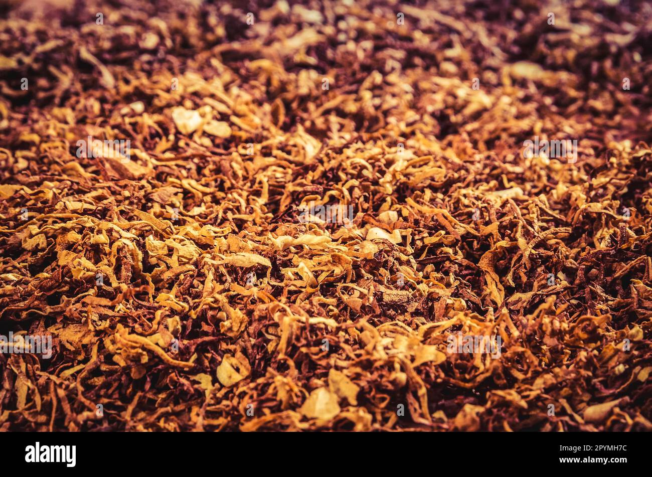 Tobacco close-up macro view. Cigarette tobacco for use as a background ...