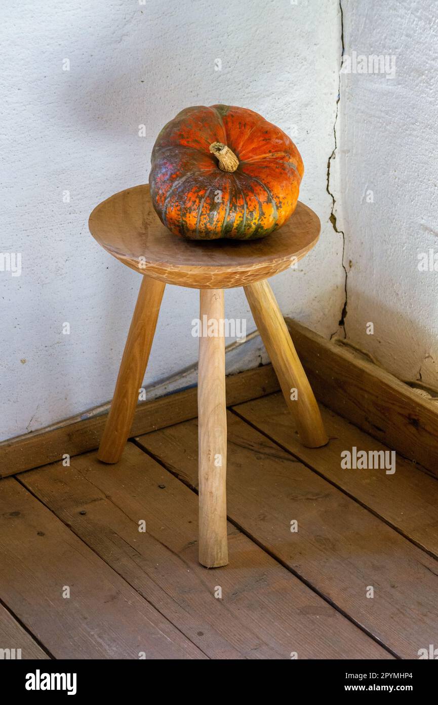 A big pumpkin on a wooden stool in corner of a room with rustic walls ...