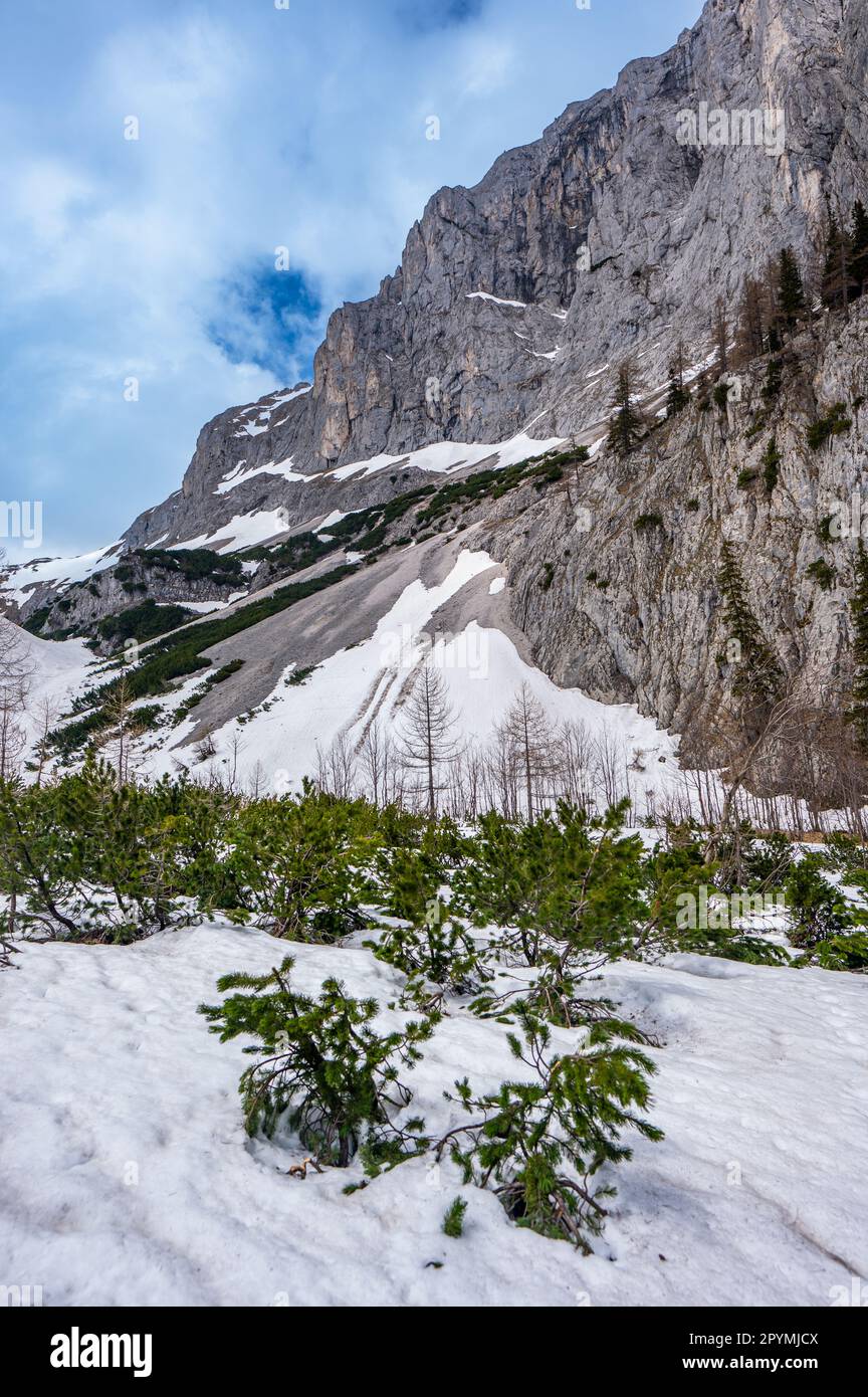 Landscape of the Hochschwab Mountains in the Northern Limestone Alps of ...