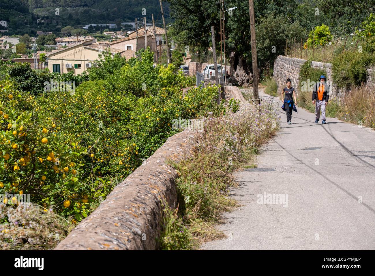two people walking, Fornalutx, Soller valley route, Mallorca, Balearic ...