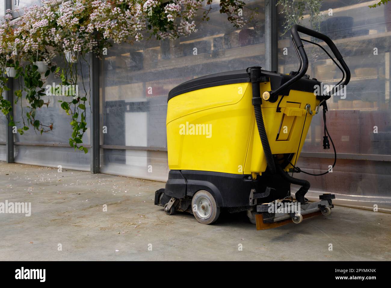 Greenhouse washing hi-res stock photography and images - Alamy