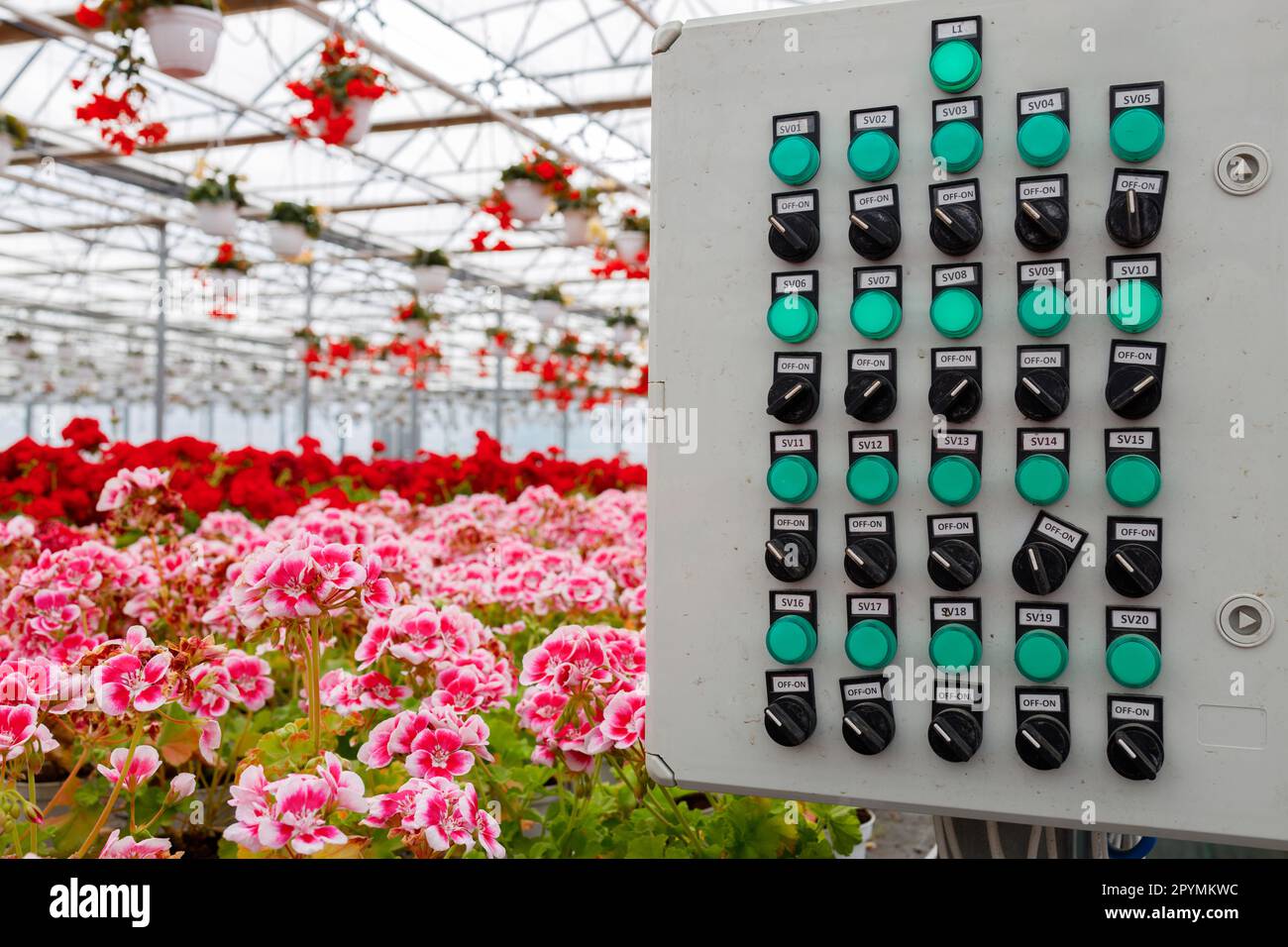 Electrical irrigation control panel in a modern greenhouse for growing ...