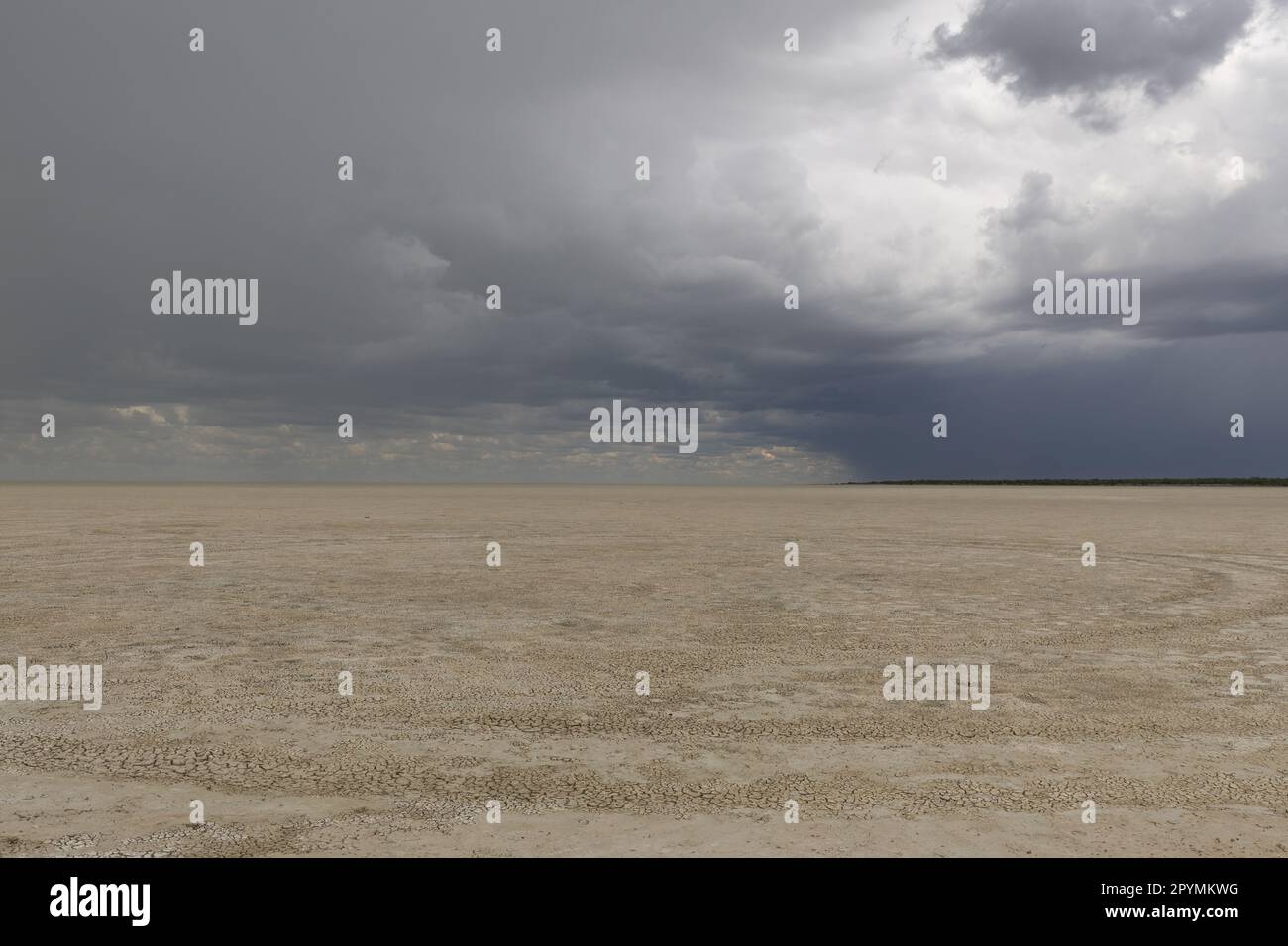 scenic rain clouds over the etosha pan in namibia Stock Photo - Alamy