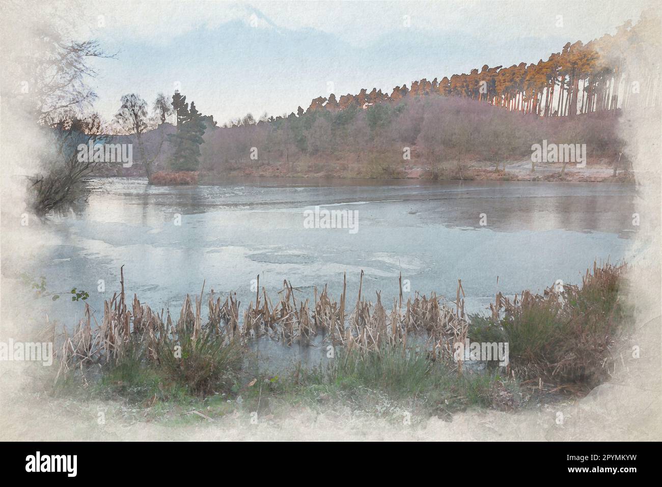 A digital watercolour painting of the woods and fishing lakes at ...