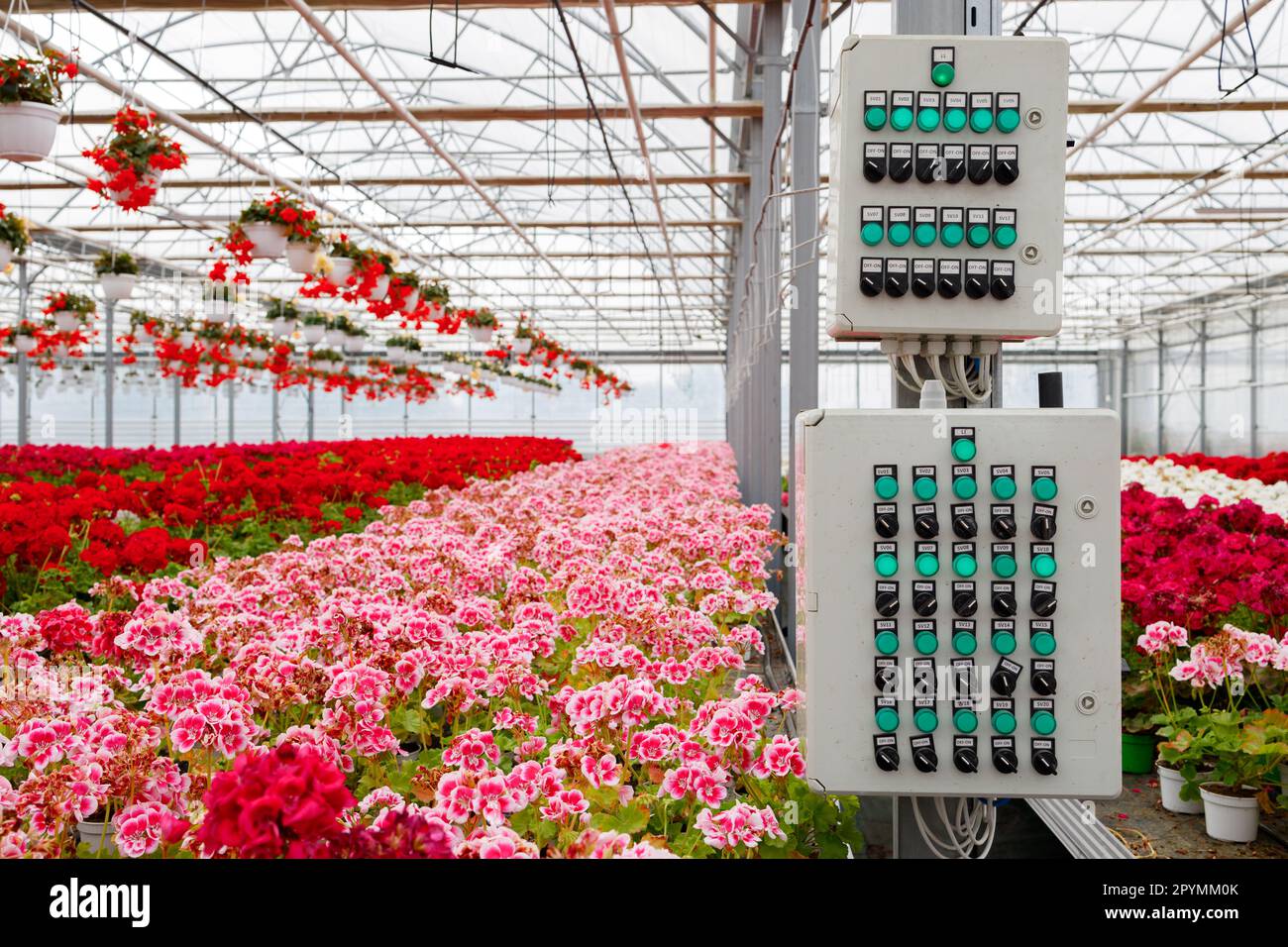 Electrical irrigation control panel in a modern greenhouse for growing ...