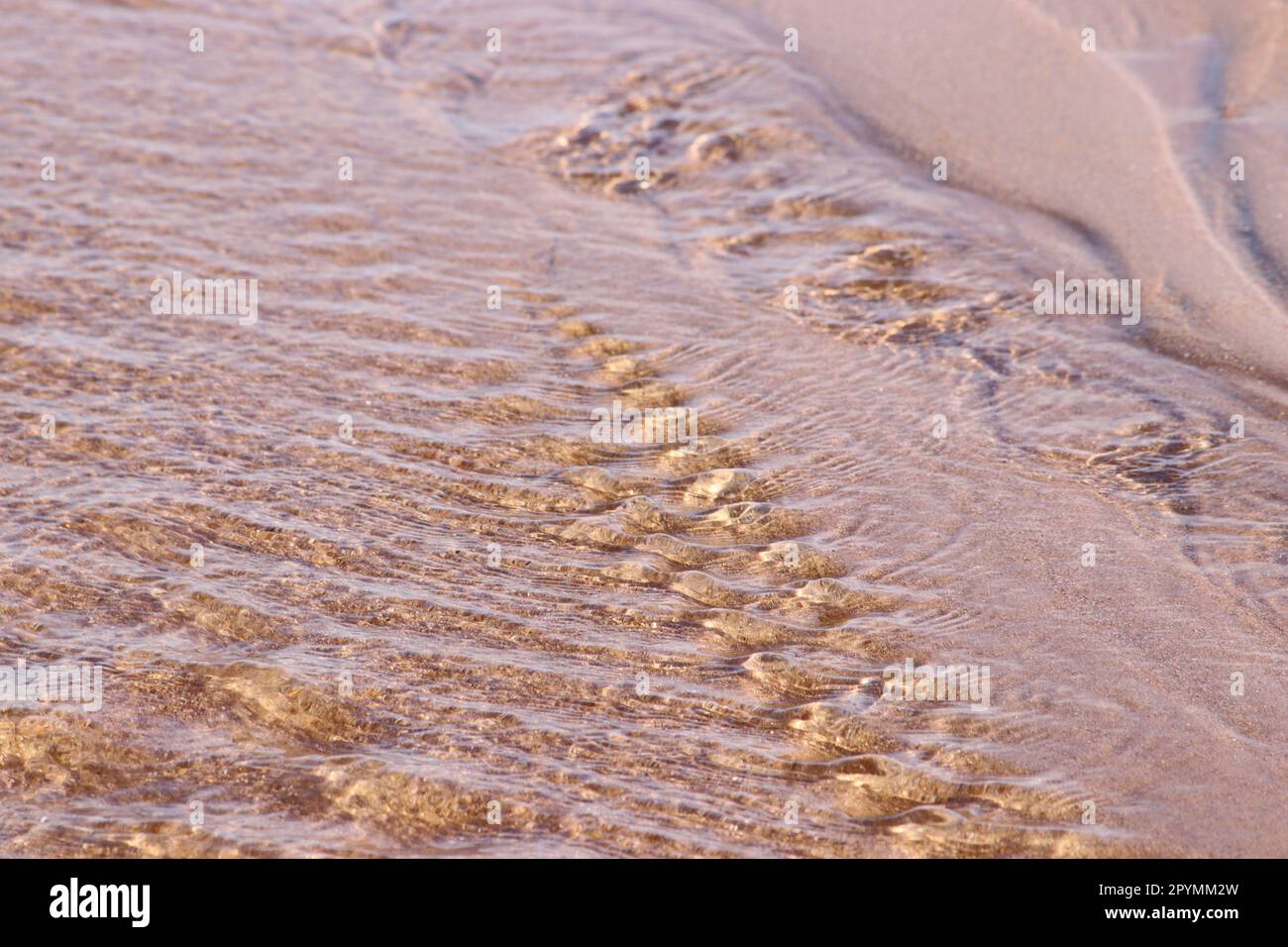 Ripples in sea water on beach Stock Photo - Alamy