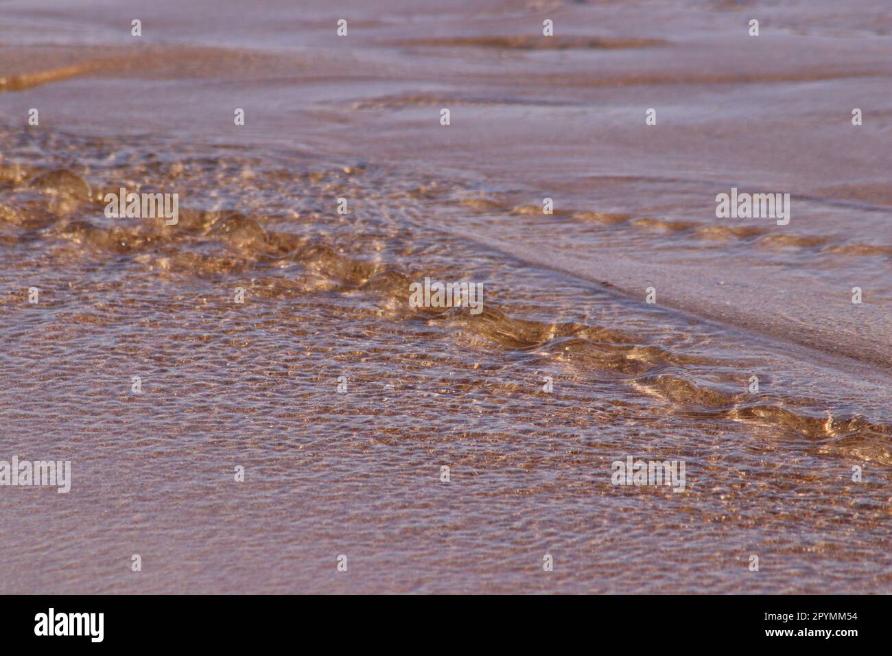 Ripples in sea water on beach Stock Photo - Alamy