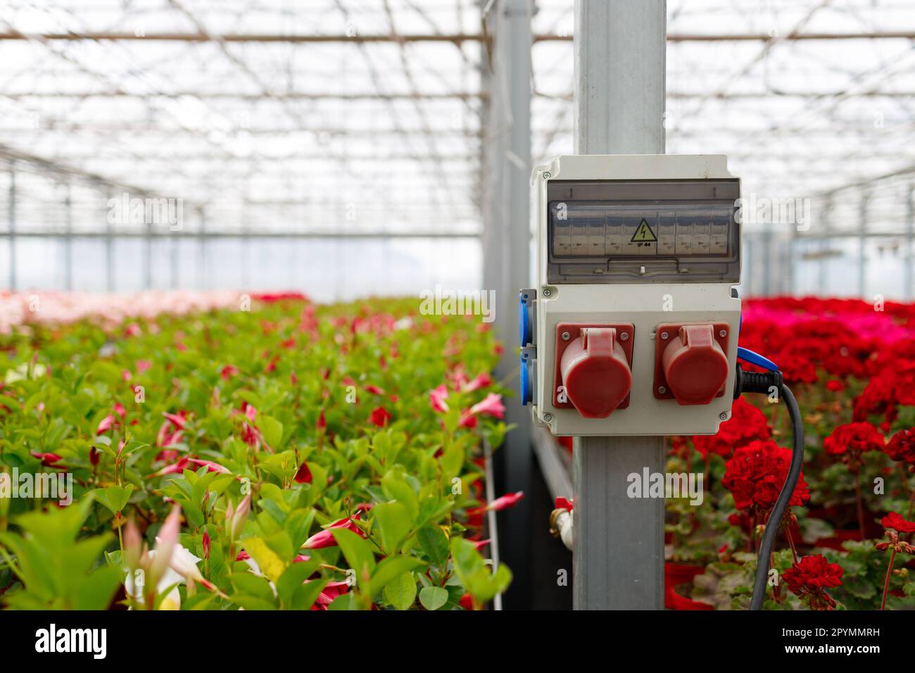 Electrical panel with a socket and circuit breaker in a greenhouse ...