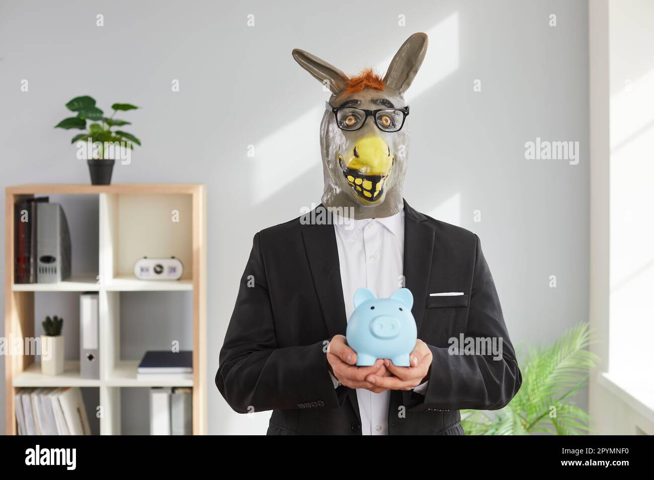 Donkey wearing donkey mask in hi-res stock photography and images - Alamy