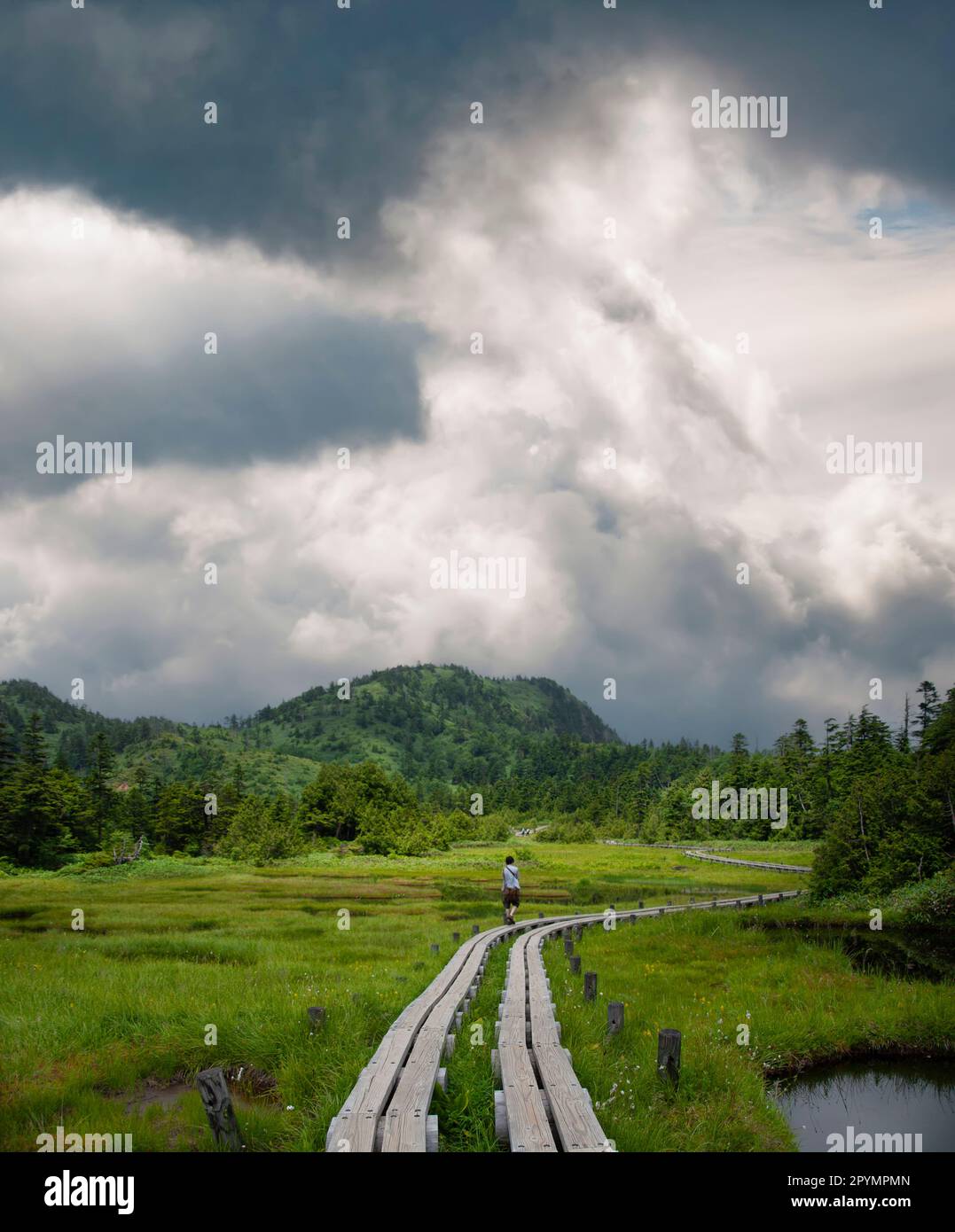 Hiking trail elevated boardwalk at Yudanaka, Nagano, Japan Stock Photo ...