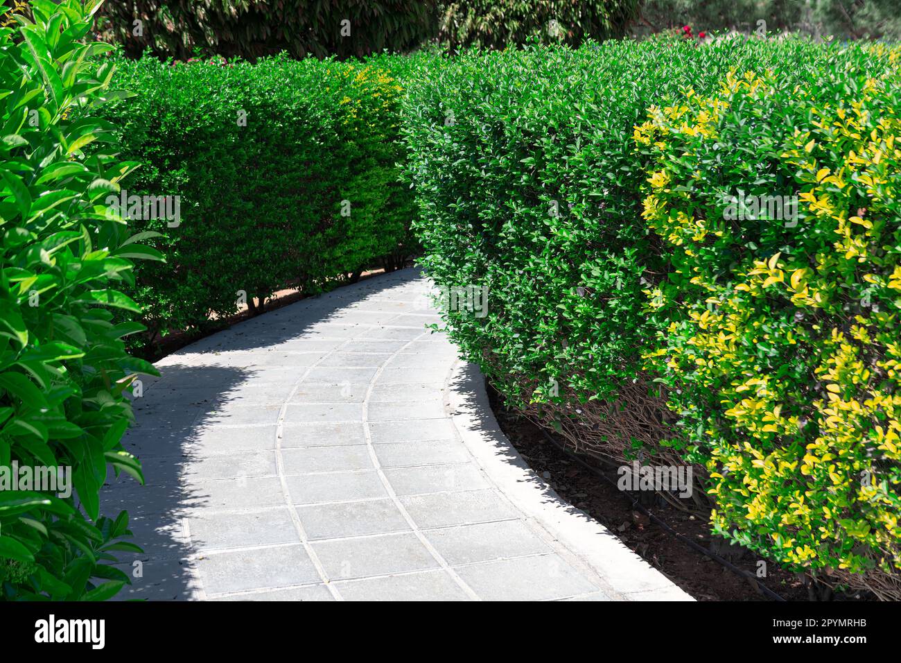 Ornamerntal garden hi-res stock photography and images - Alamy