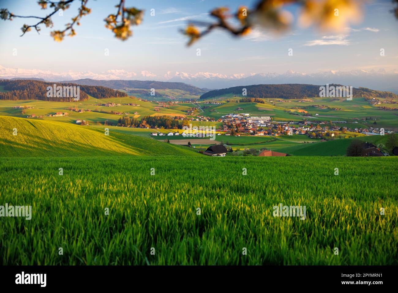 view of Biglen towards the alps in Emmental Stock Photo - Alamy