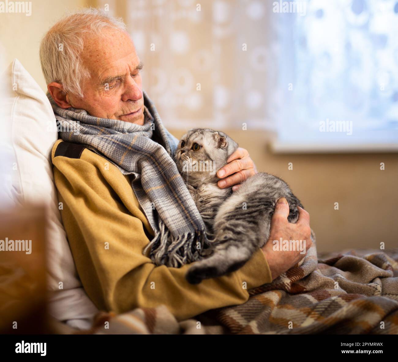 Scottish man at arms hi-res stock photography and images - Alamy
