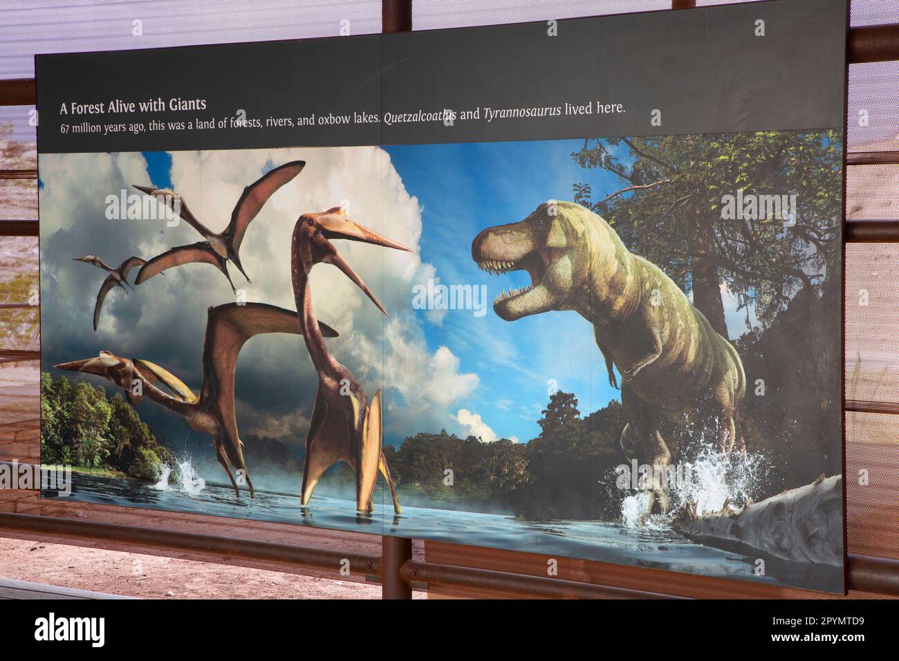 Fossil Discovery Exhibit, Big Bend National Park, Texas Stock Photo - Alamy