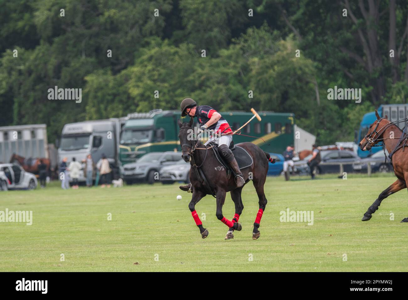A man during a match of polo on horseback, engaged in a competitive ...