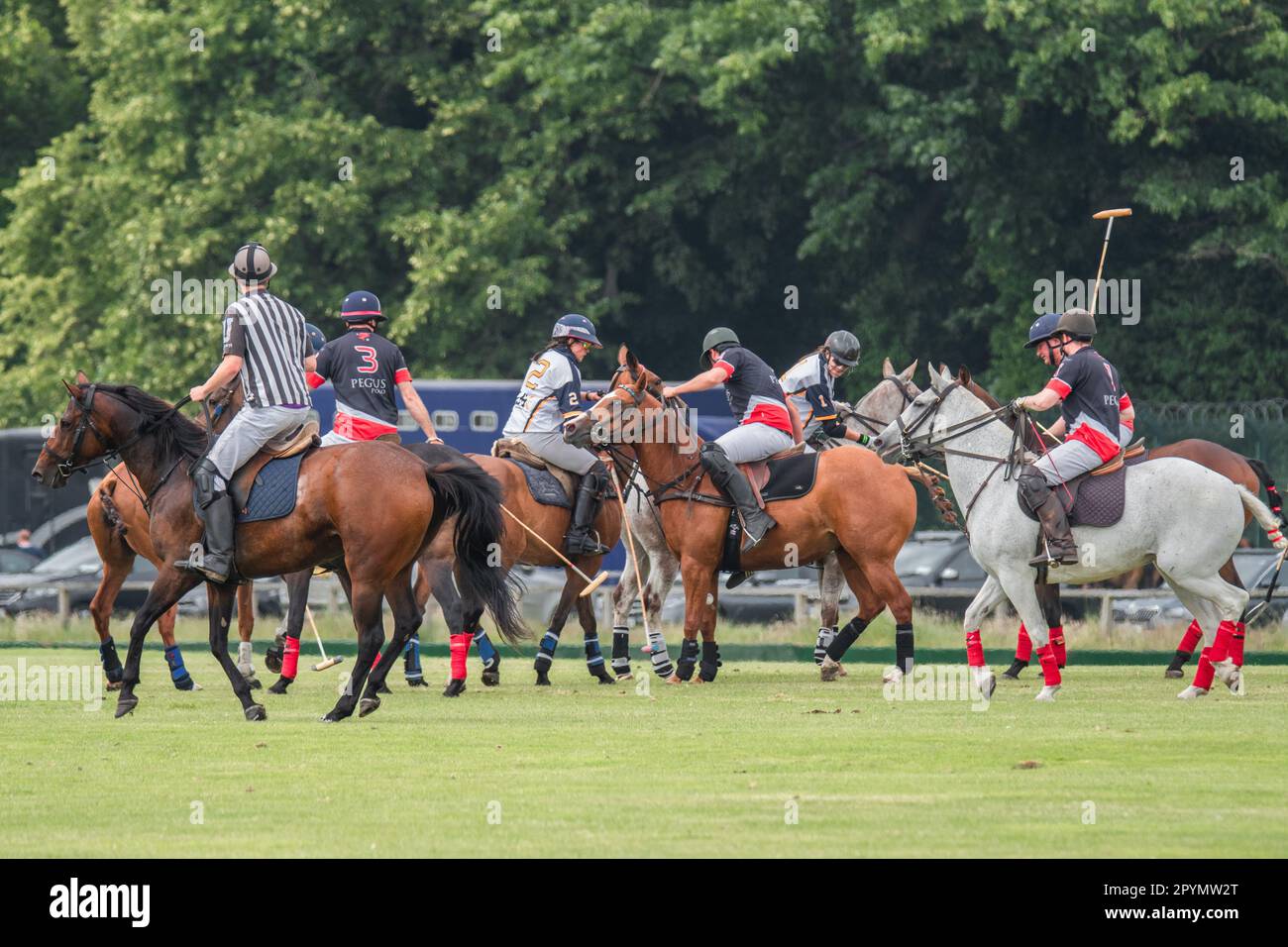 Polo players in action hi-res stock photography and images - Alamy