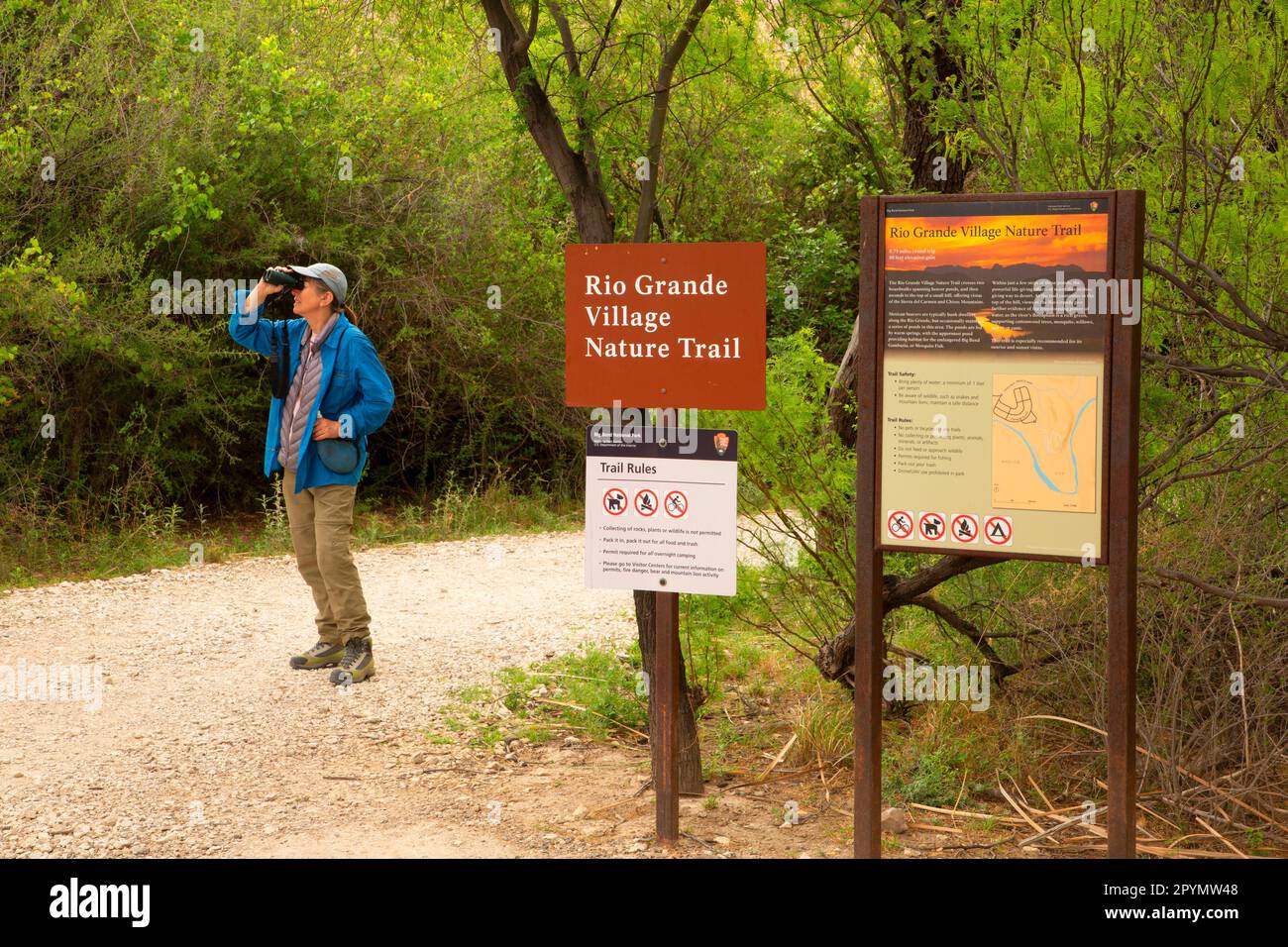 Rio Grande Village Nature Trail, Big Bend National Park, Texas Stock ...
