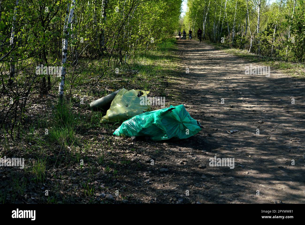 Rubbish in the forest hi-res stock photography and images - Alamy