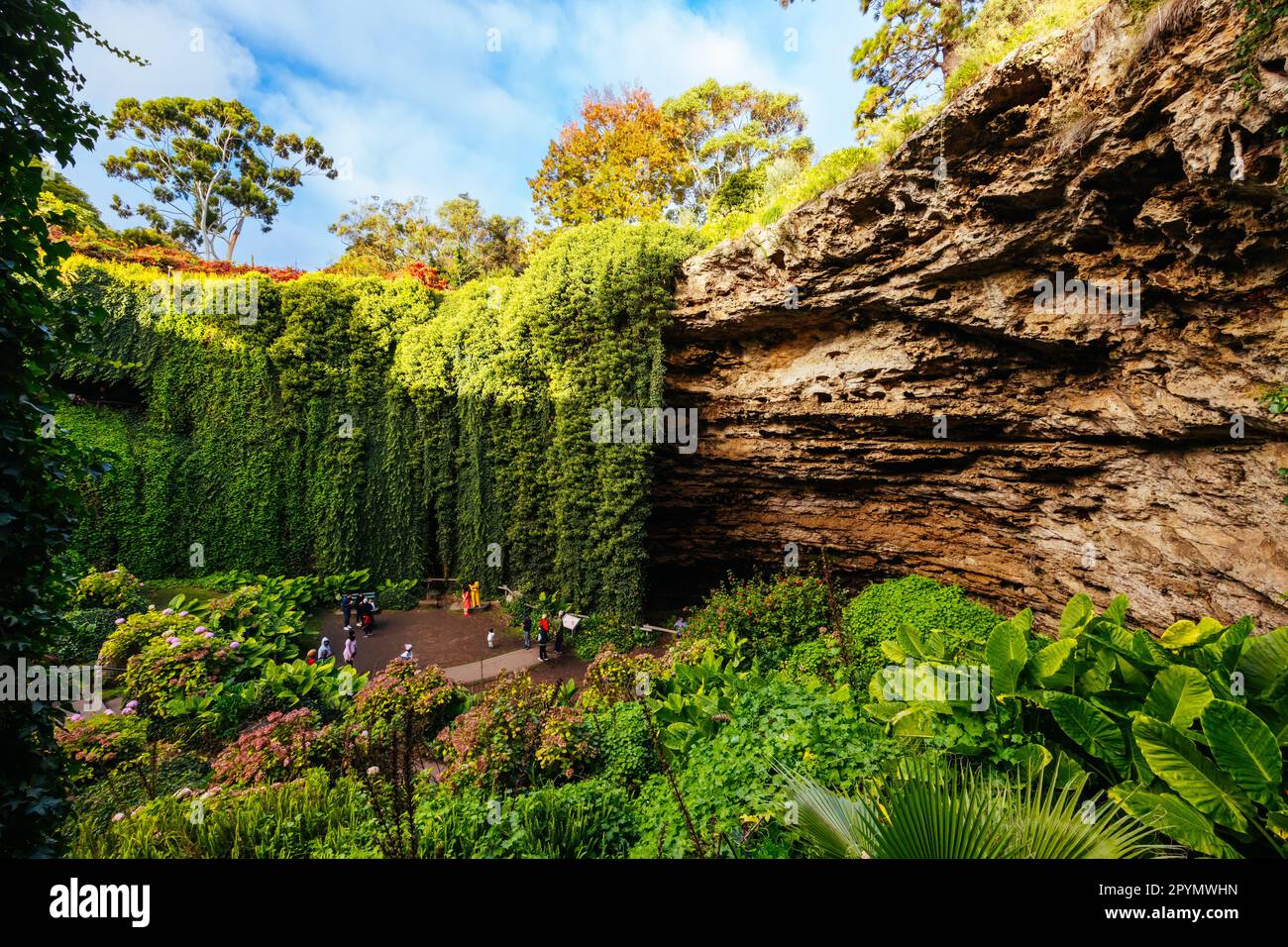 Umpherston Cave Sinkhole in Mt Gambier Australia Stock Photo - Alamy