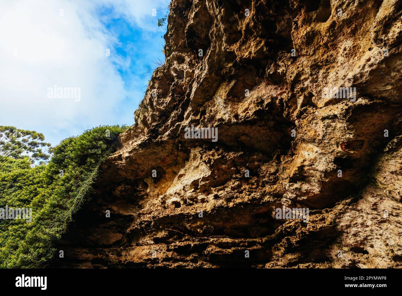 Umpherston Cave Sinkhole in Mt Gambier Australia Stock Photo - Alamy