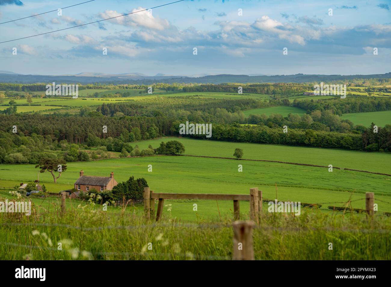 An aerial view of lush green pastures and fields in the British ...