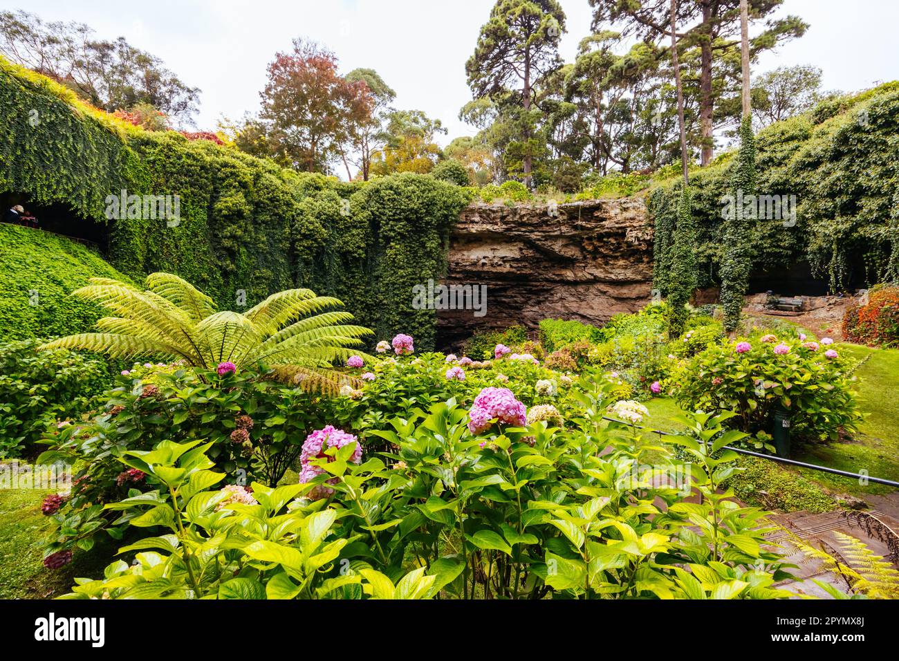 Umpherston Cave Sinkhole in Mt Gambier Australia Stock Photo - Alamy