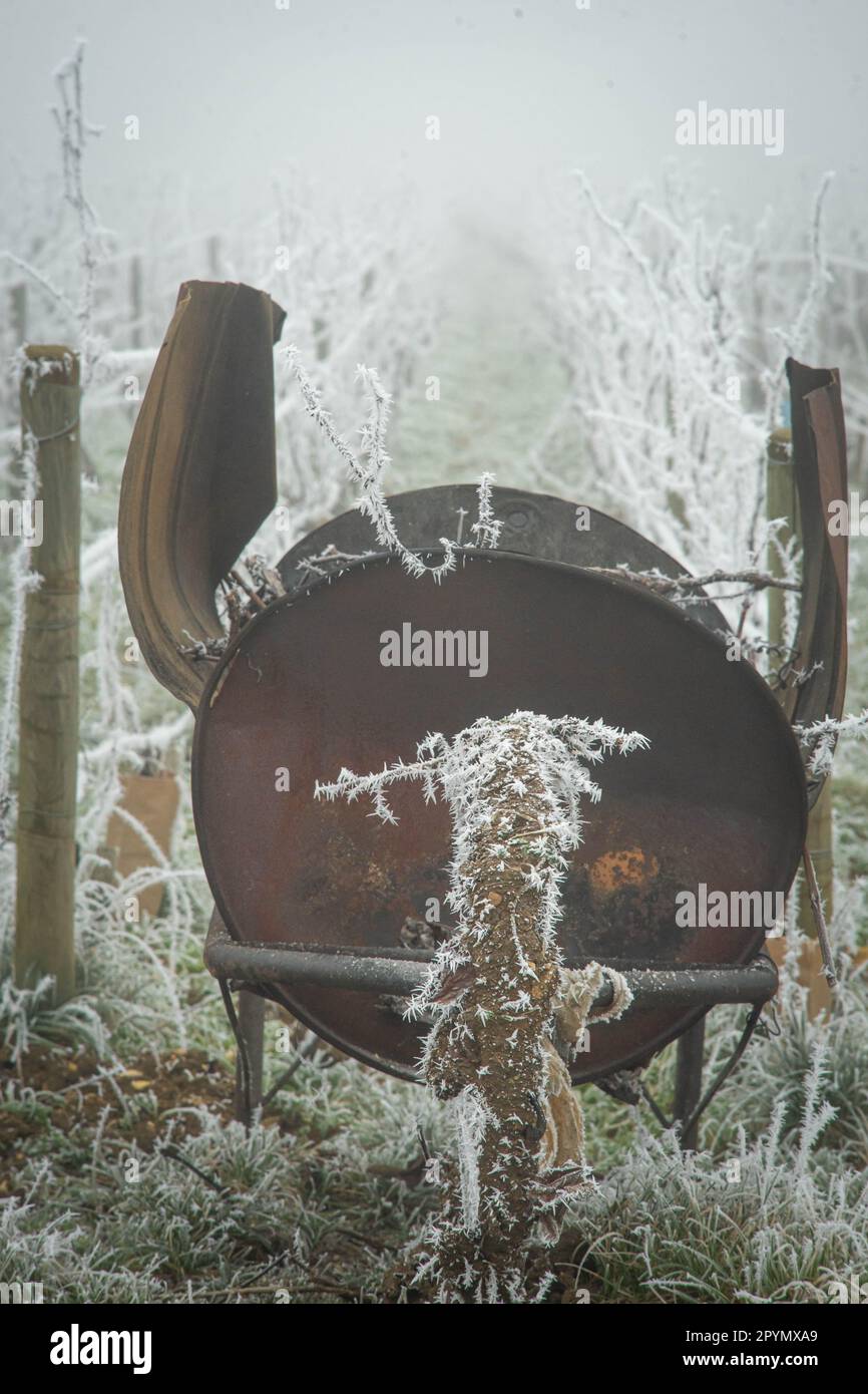 Winter frost in the vineyards during prunning. Typical Oil barrell used ...