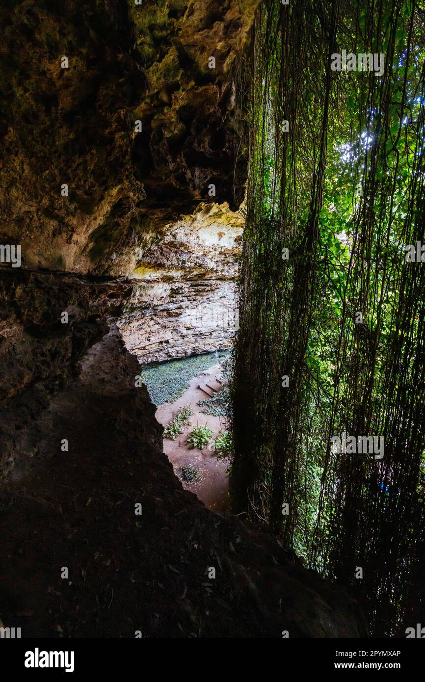 Umpherston Cave Sinkhole in Mt Gambier Australia Stock Photo - Alamy