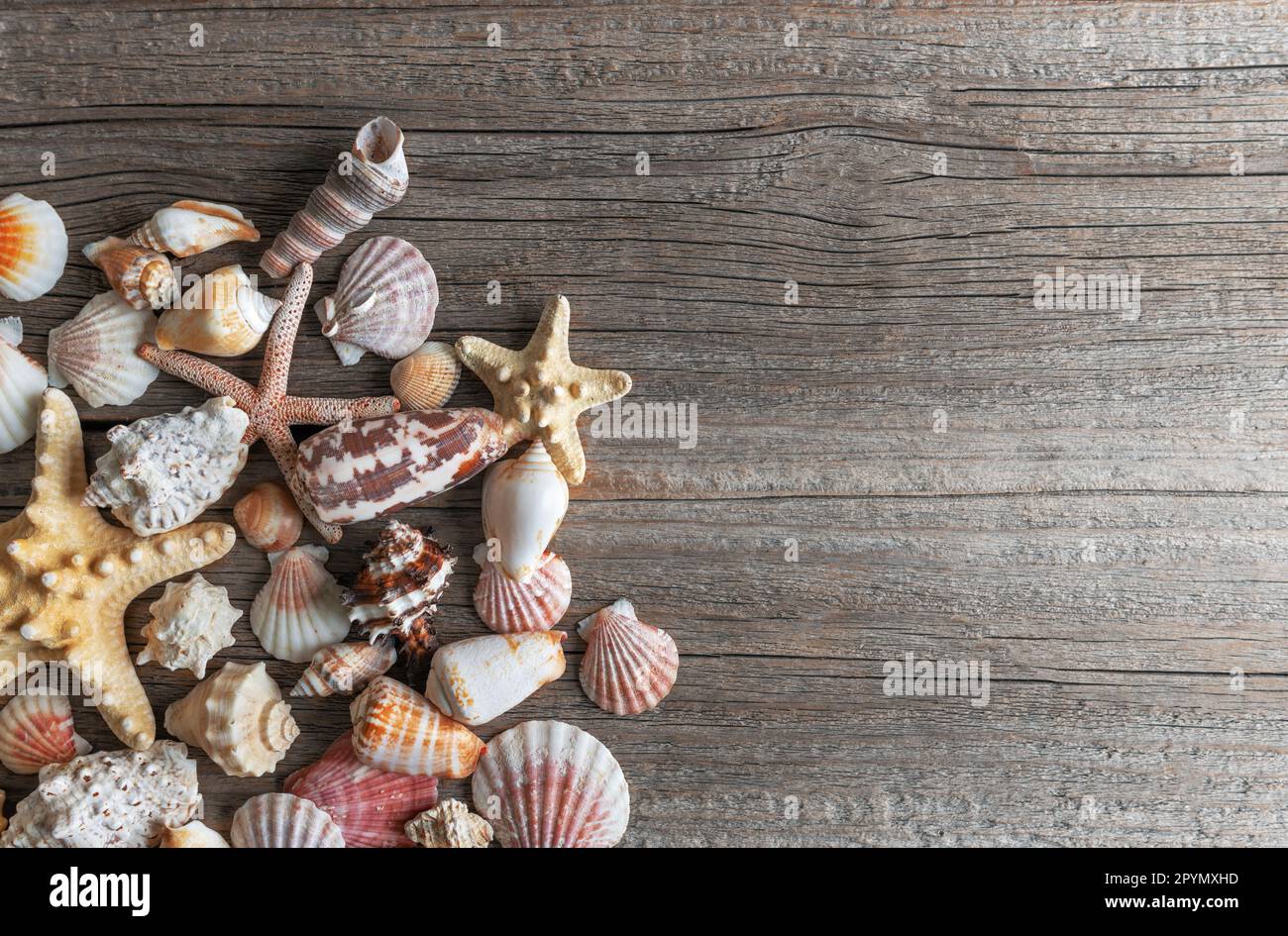 Seashell starfish on old hi-res stock photography and images - Alamy