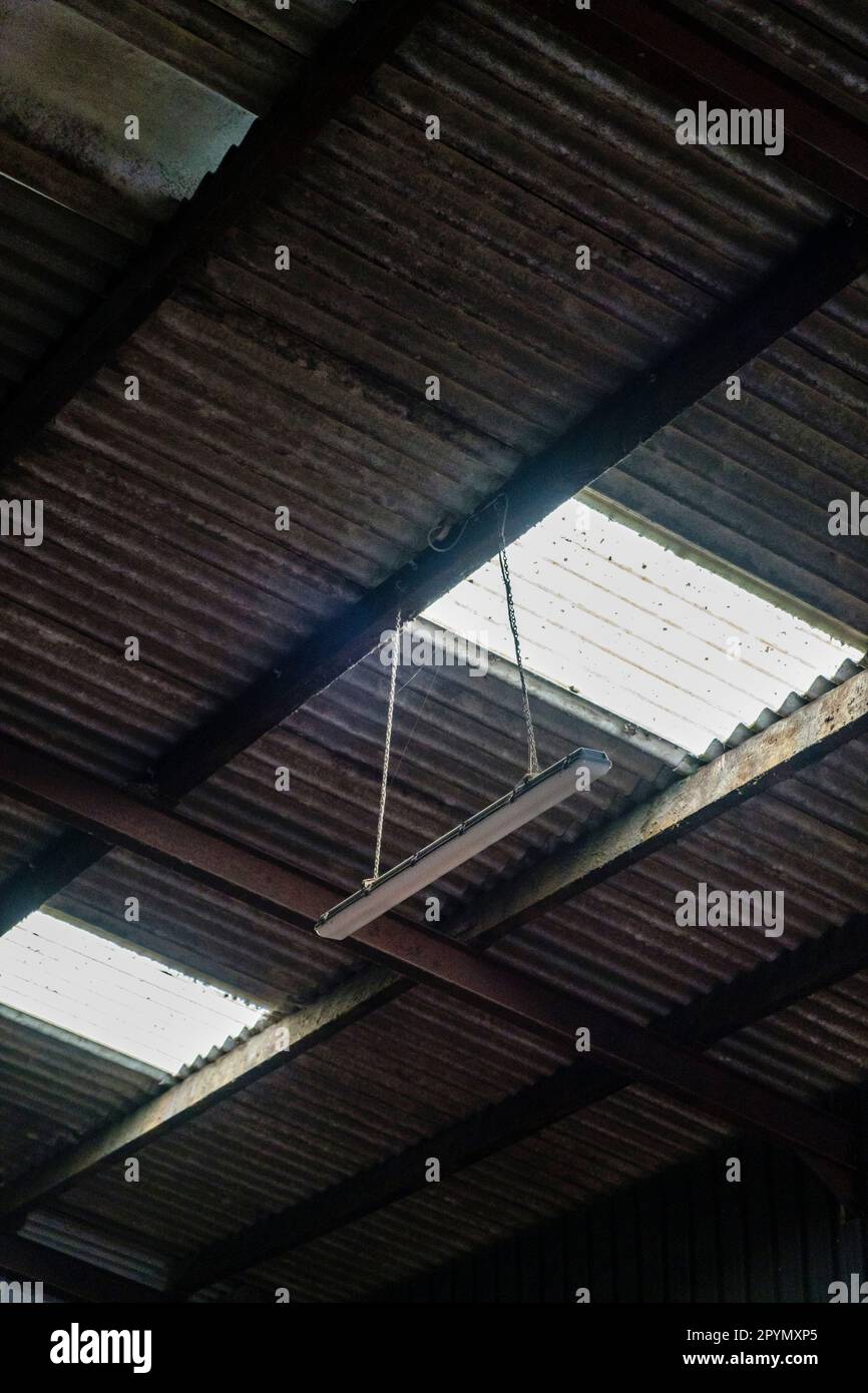 Looking up inside an old barn to a skylight and overhead hanging light ...