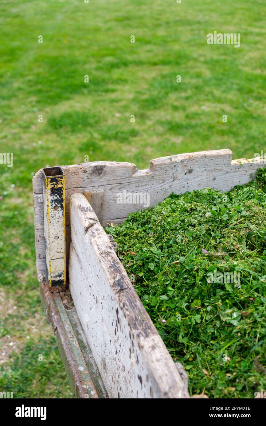 Cuttings box hi-res stock photography and images - Alamy