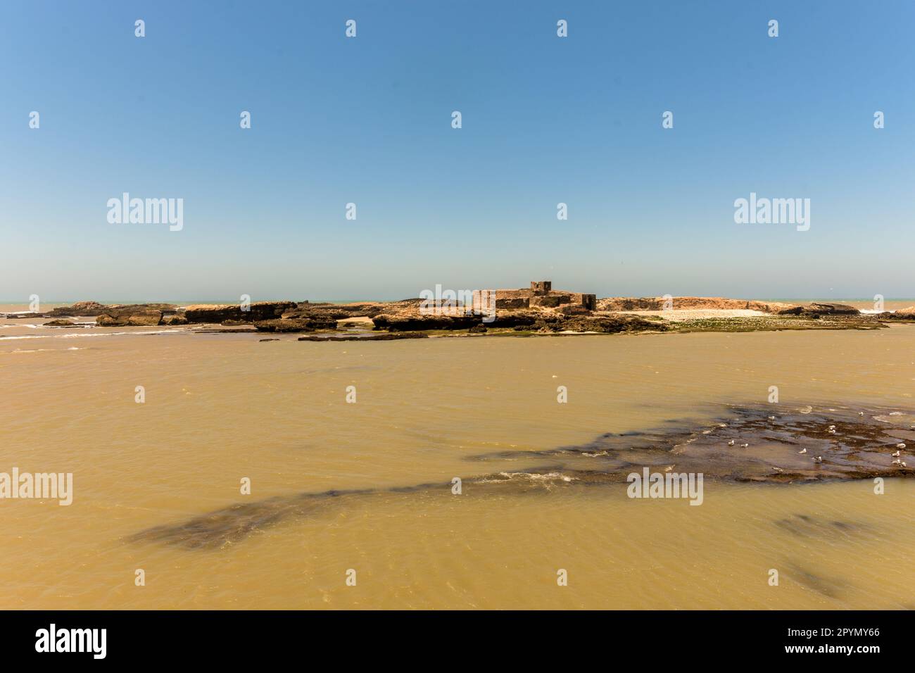 Mogador Island near Essaouira in Morocco Stock Photo - Alamy
