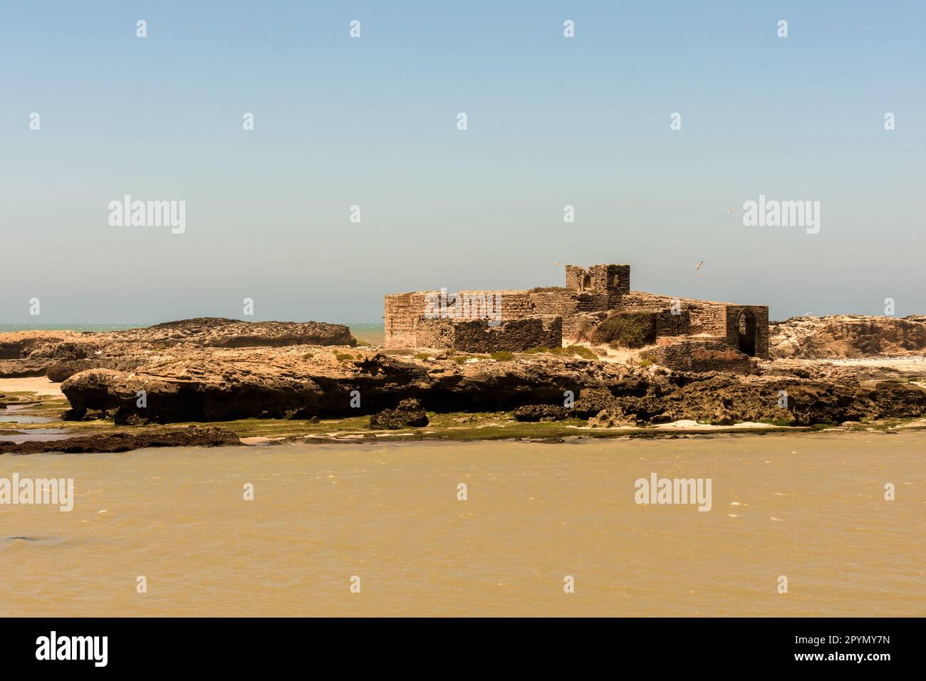 Mogador Island near Essaouira in Morocco Stock Photo - Alamy