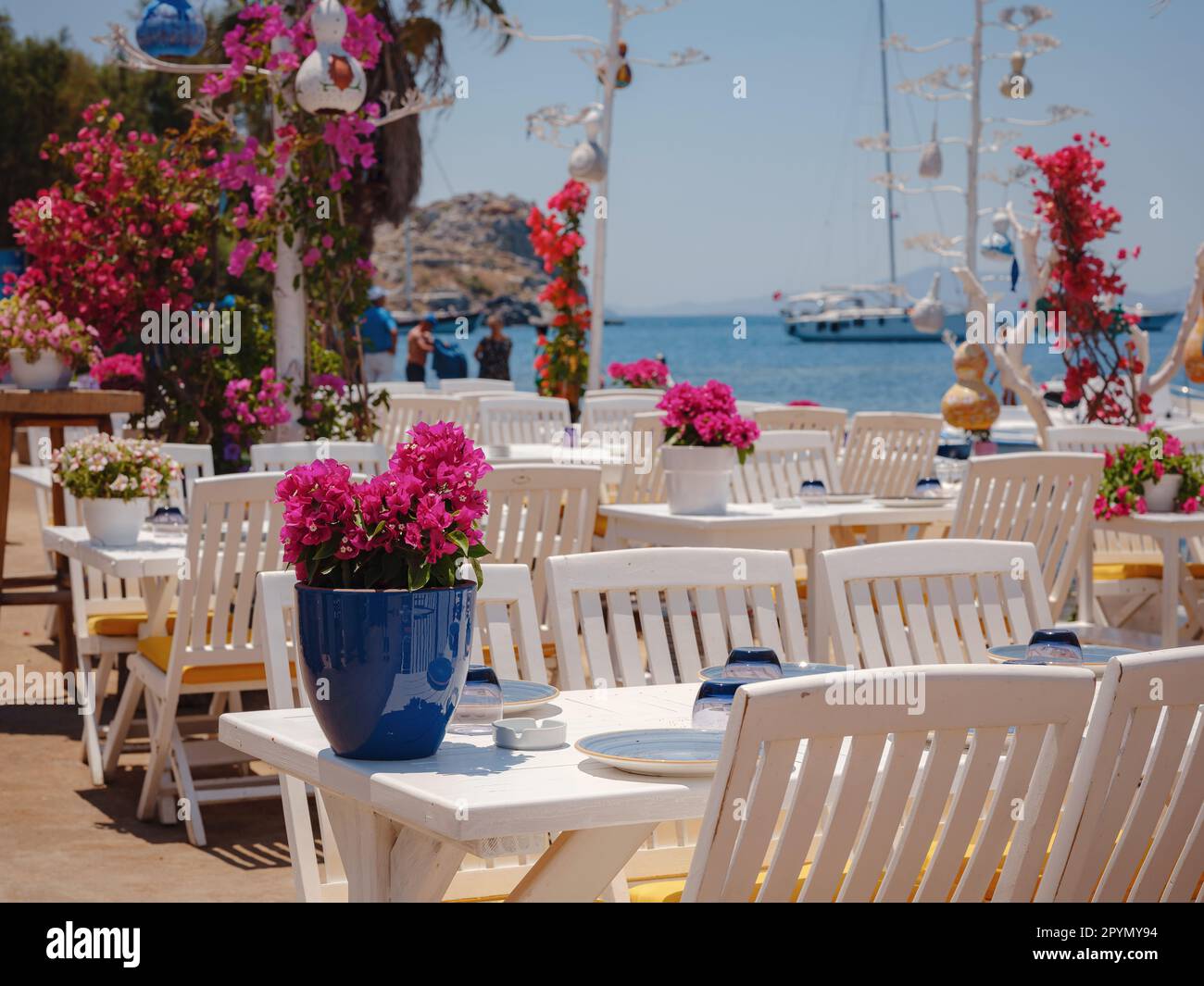 Bodrum summer travel to Turkey. Aegean fish restaurant table in ...