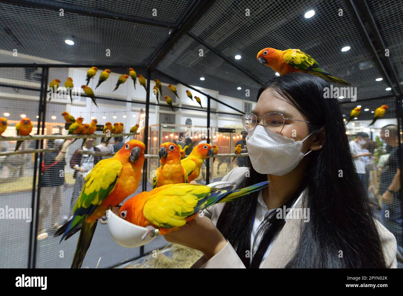 Bangkok, Thailand. 4th May, 2023. A visitor feeds parrots at the Queen ...