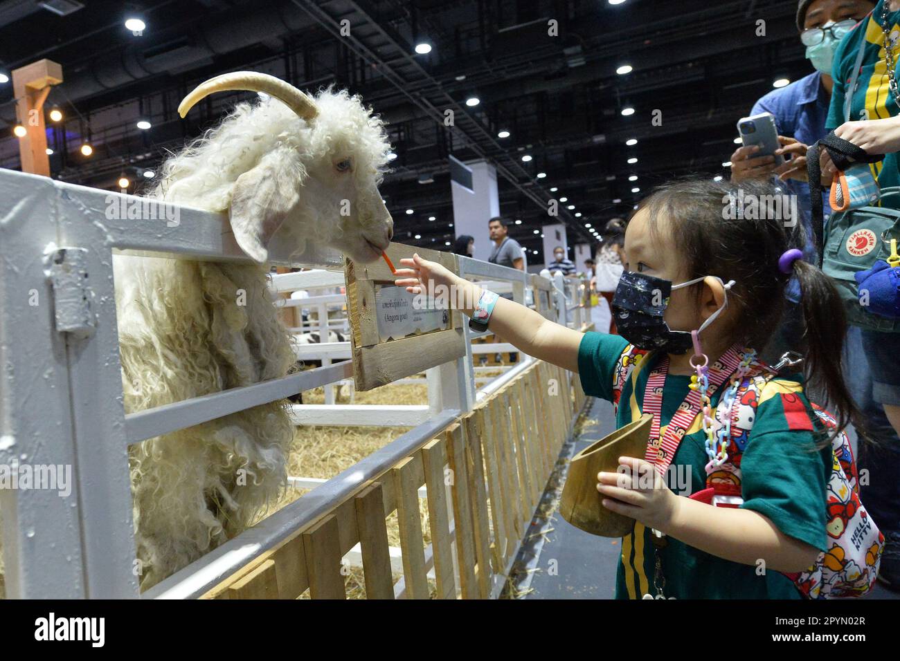 Bangkok, Thailand. 4th May, 2023. A child feeds a goat at the Queen ...
