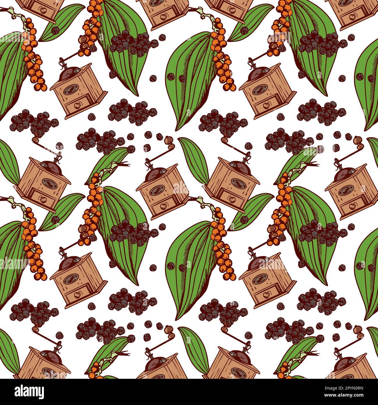 Pepper black background Stock Vector Images - Alamy