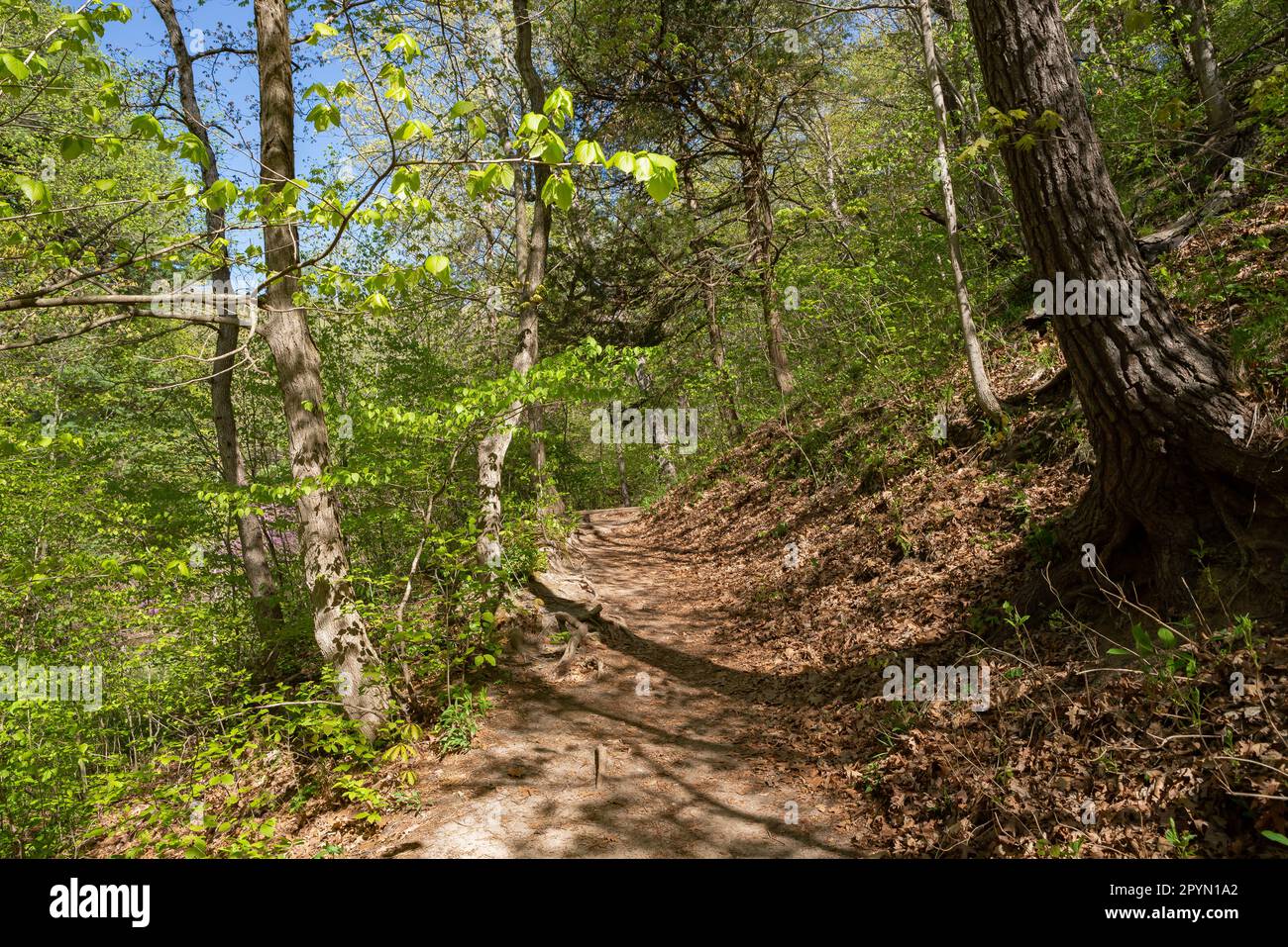 Hiking trail in LaSalle Canyon on a beautiful Spring morning. Starved ...